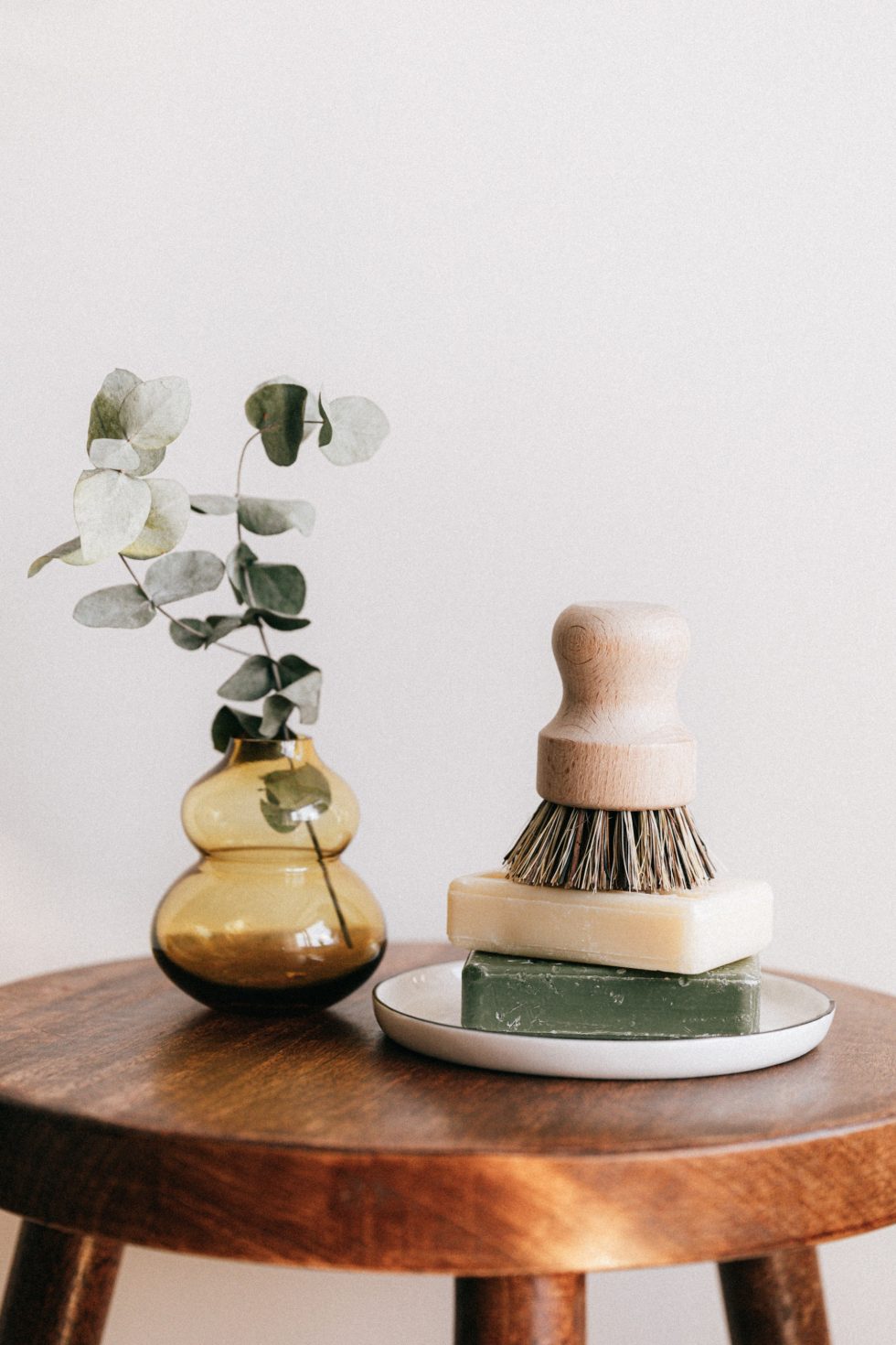 Things Humans Must Know About Plant Based Products