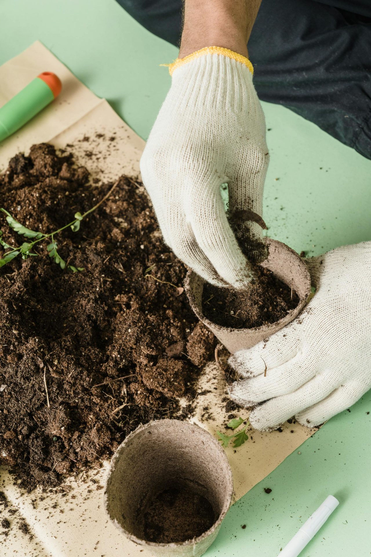 Simple Comprehensive Guide to Home Composting - For Plants