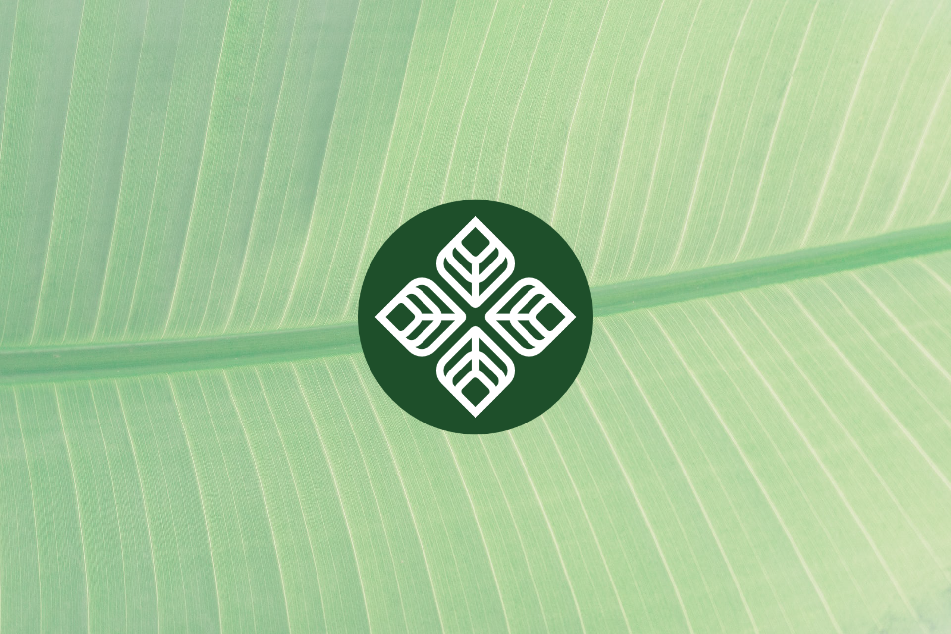 Botanical Treasures of The Bahamas, Most Common Plants